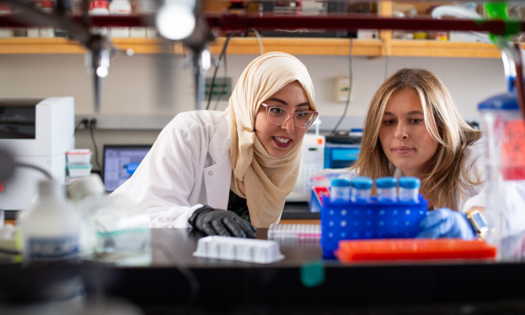 Dr. Walaa Kattan - MIT Ibn Khaldun Fellowship